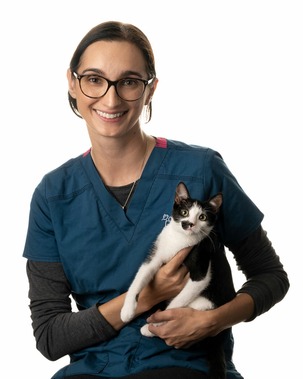 Meet the Team - Enfield Vet Hospital