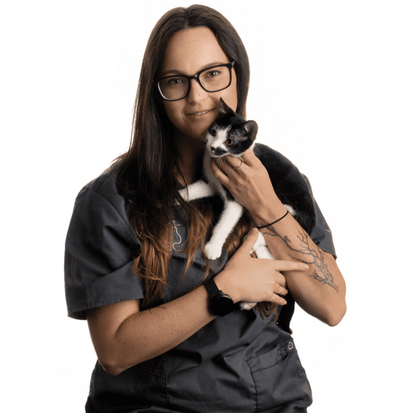 Meet The Team | Enfield Vet Hospital