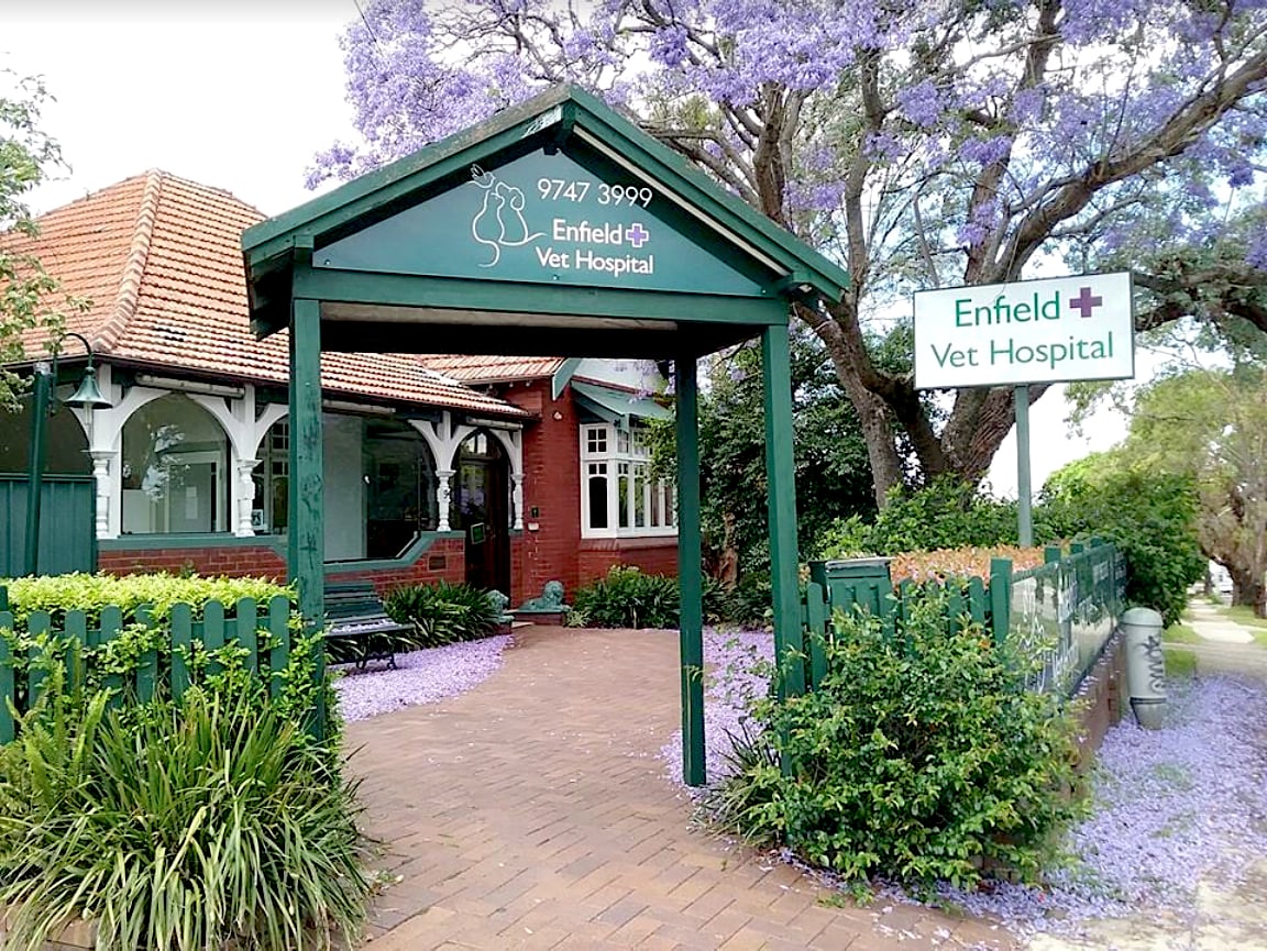 Home | Enfield Vet Hospital